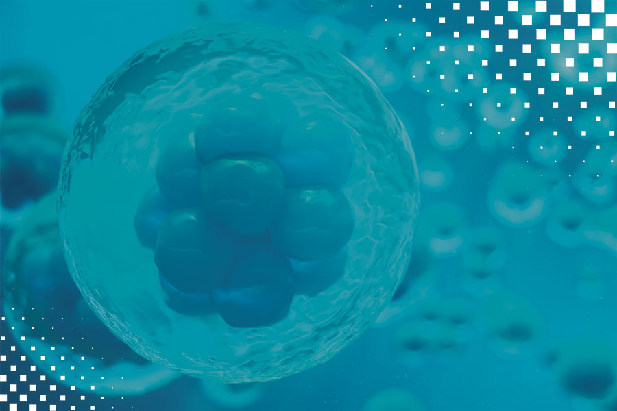 Embryo Donation - NOW-fertility